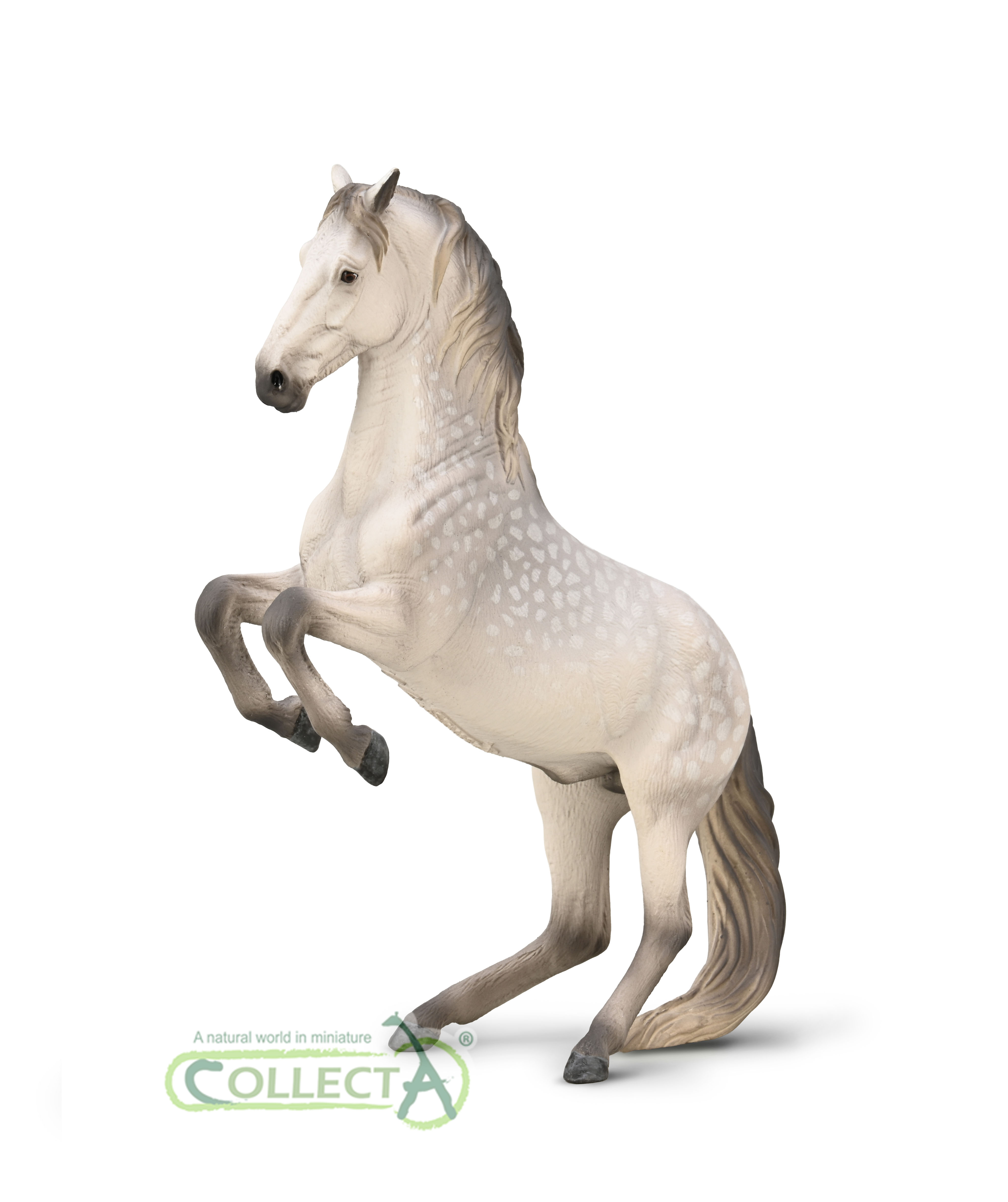 Identify Your CollectA - New for 2026